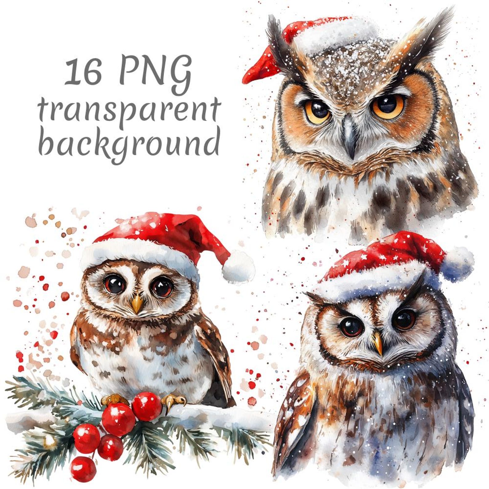 16 Christmas Owl Watercolor Clipart PNG. Digital Download Junk Journals ...