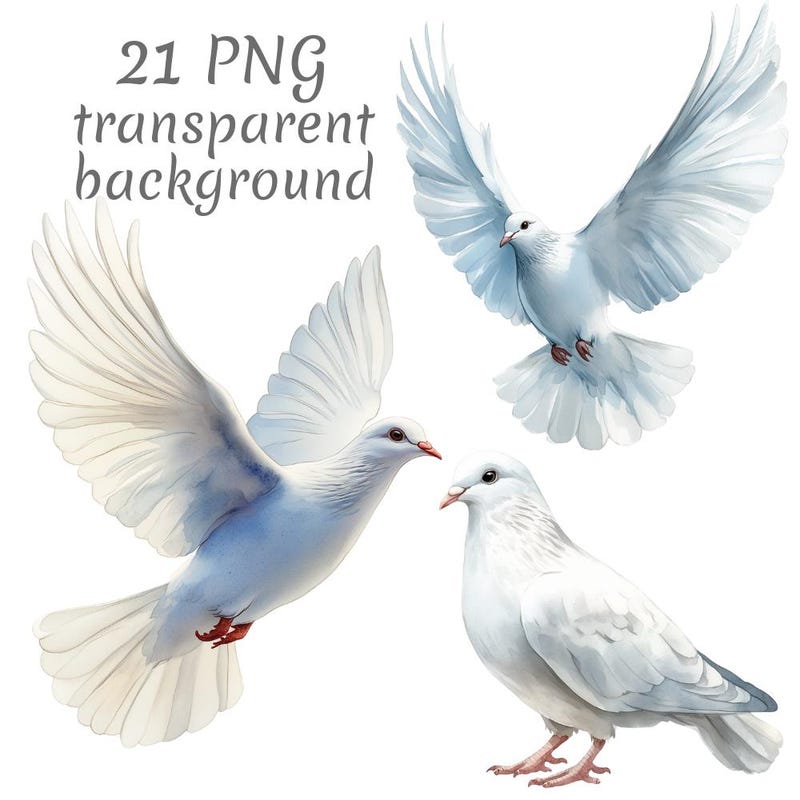 Dove Digital Clipart - Etsy UK