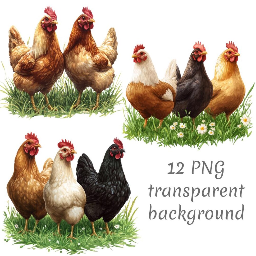 12 Realistic Chickens on Grass Clipart PNG, Digital Download, Junk ...