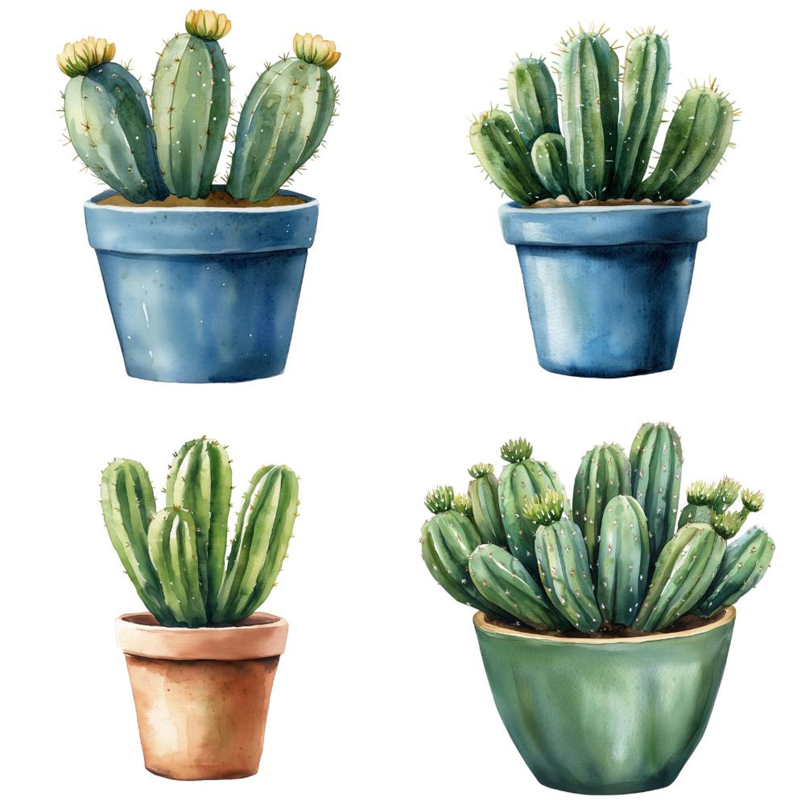16 Cactus Plant in Pot Watercolor Clipart PNG. Digital Download, Junk ...
