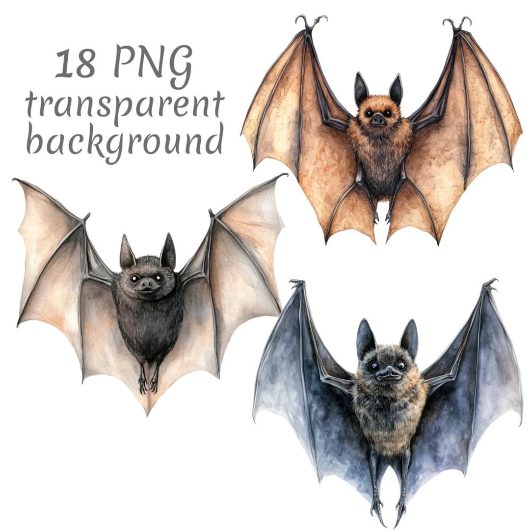 18 Realistic Bat Watercolor Clipart PNG. Digital Download, Junk ...