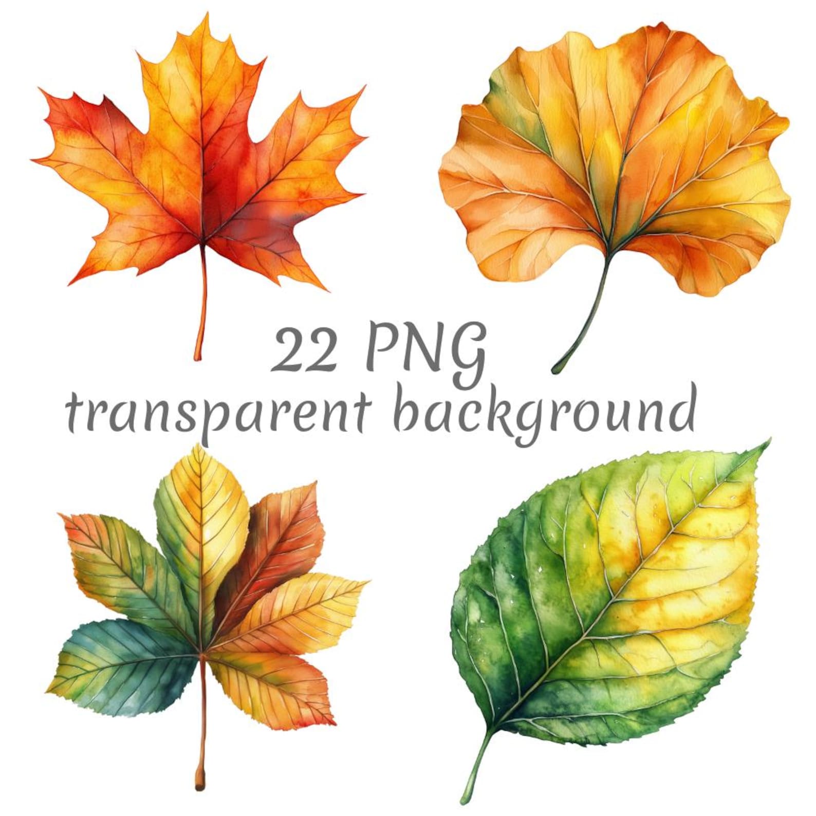 22 Autumn Leaves Watercolor Clipart PNG, Digital Download, Junk ...