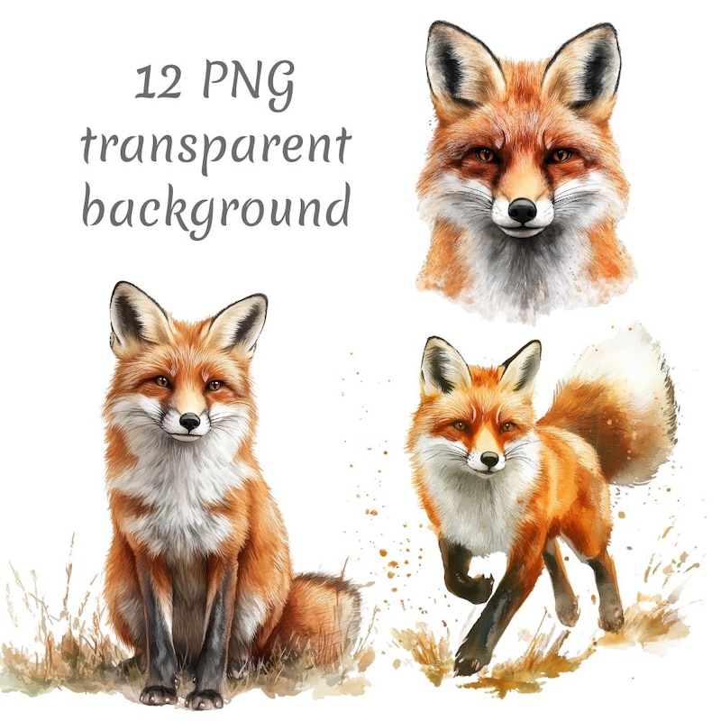 Red Fox Watercolor - Etsy