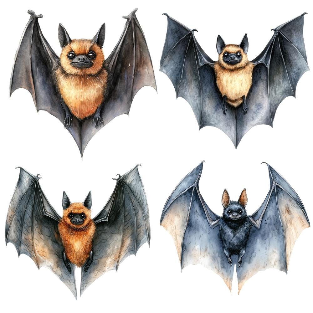 18 Realistic Bat Watercolor Clipart PNG. Digital Download, Junk ...