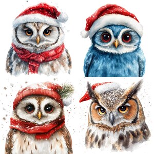 16 Christmas Owl Watercolor Clipart PNG. Digital Download Junk Journals ...