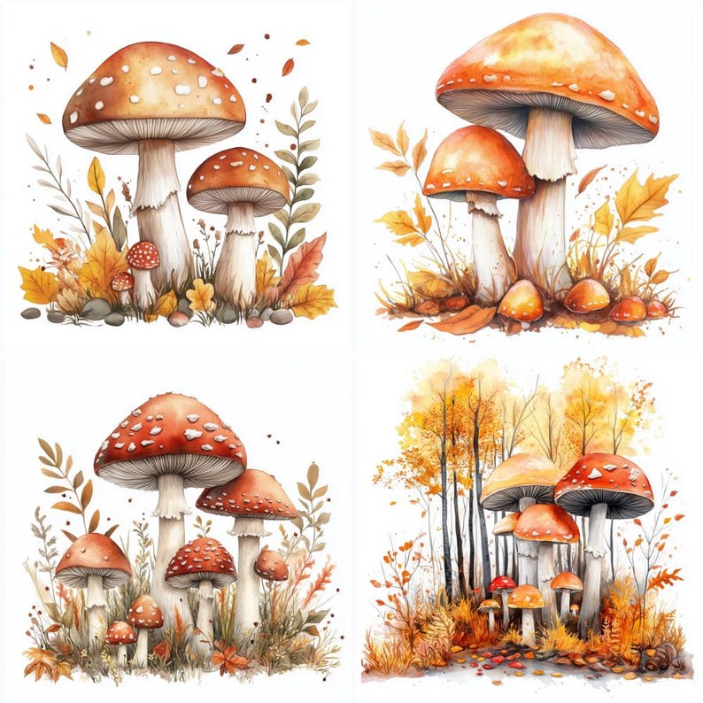 20 Autumn Forest Mushroom Watercolor Clipart JPG, Digital Download ...