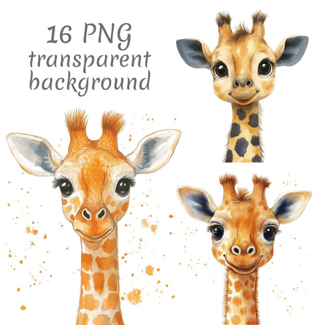 16 Baby Giraffe Watercolor Clipart PNG. Digital Download, Junk Journals ...