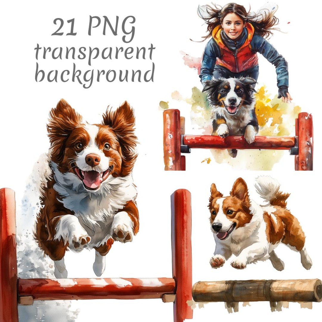 21 Dog Agility Watercolor Clipart PNG. Digital Download, Junk Journals ...