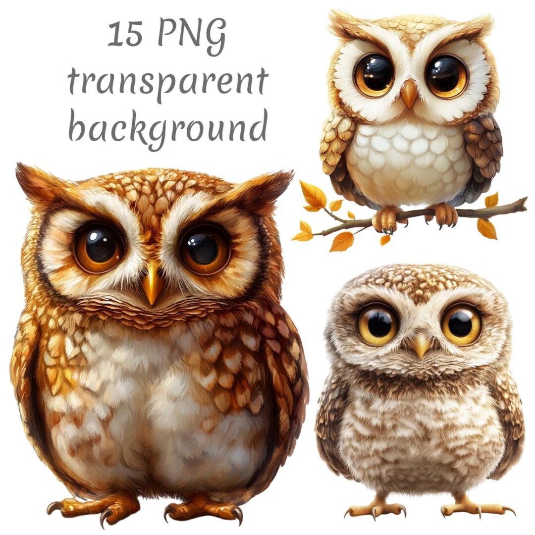 15 Cute Owl Clipart PNG, Digital Download, Junk Journals, Transparent ...