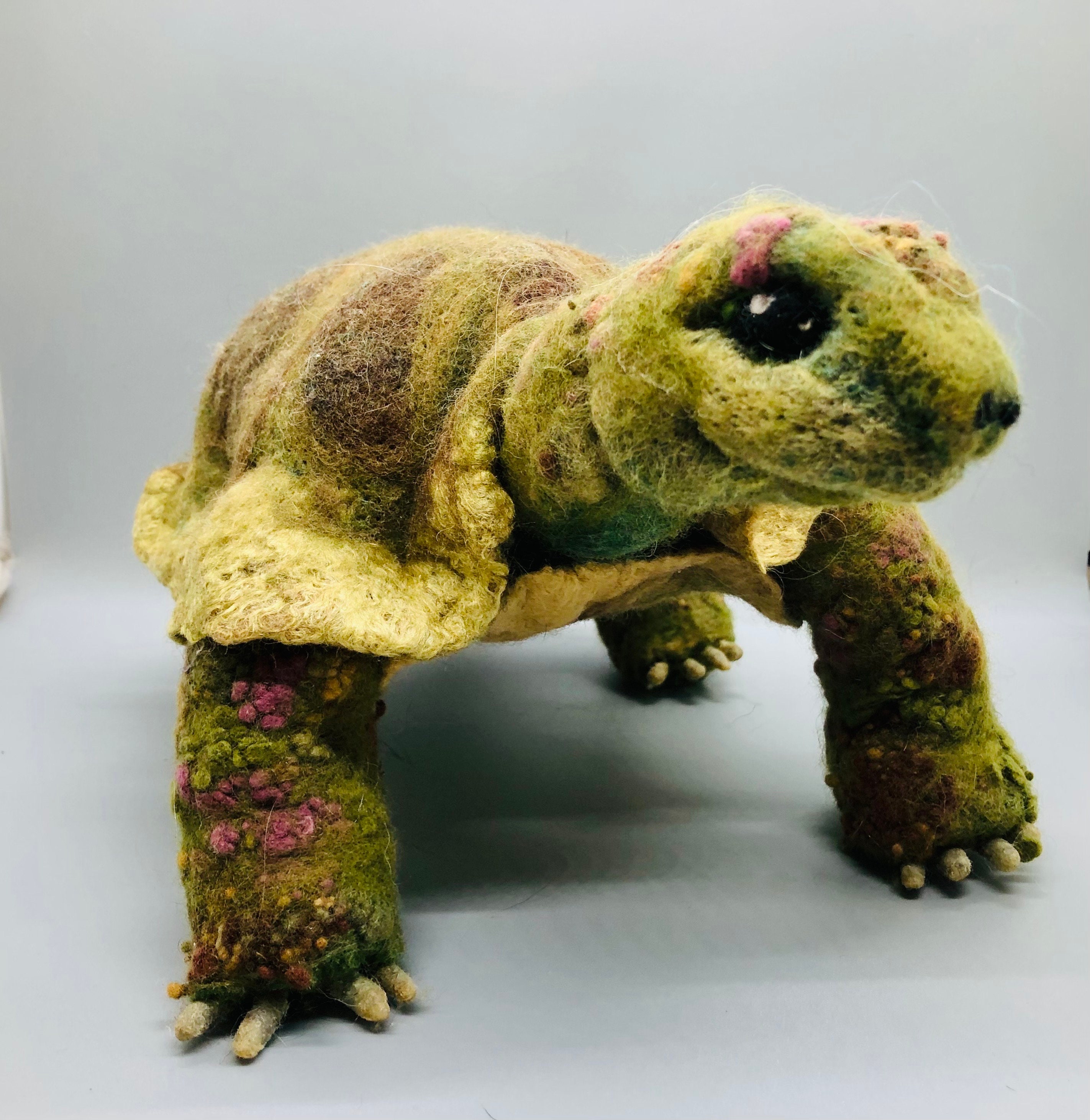 Needle Felted Tortoise, Made to Order one Available Immediately - Etsy
