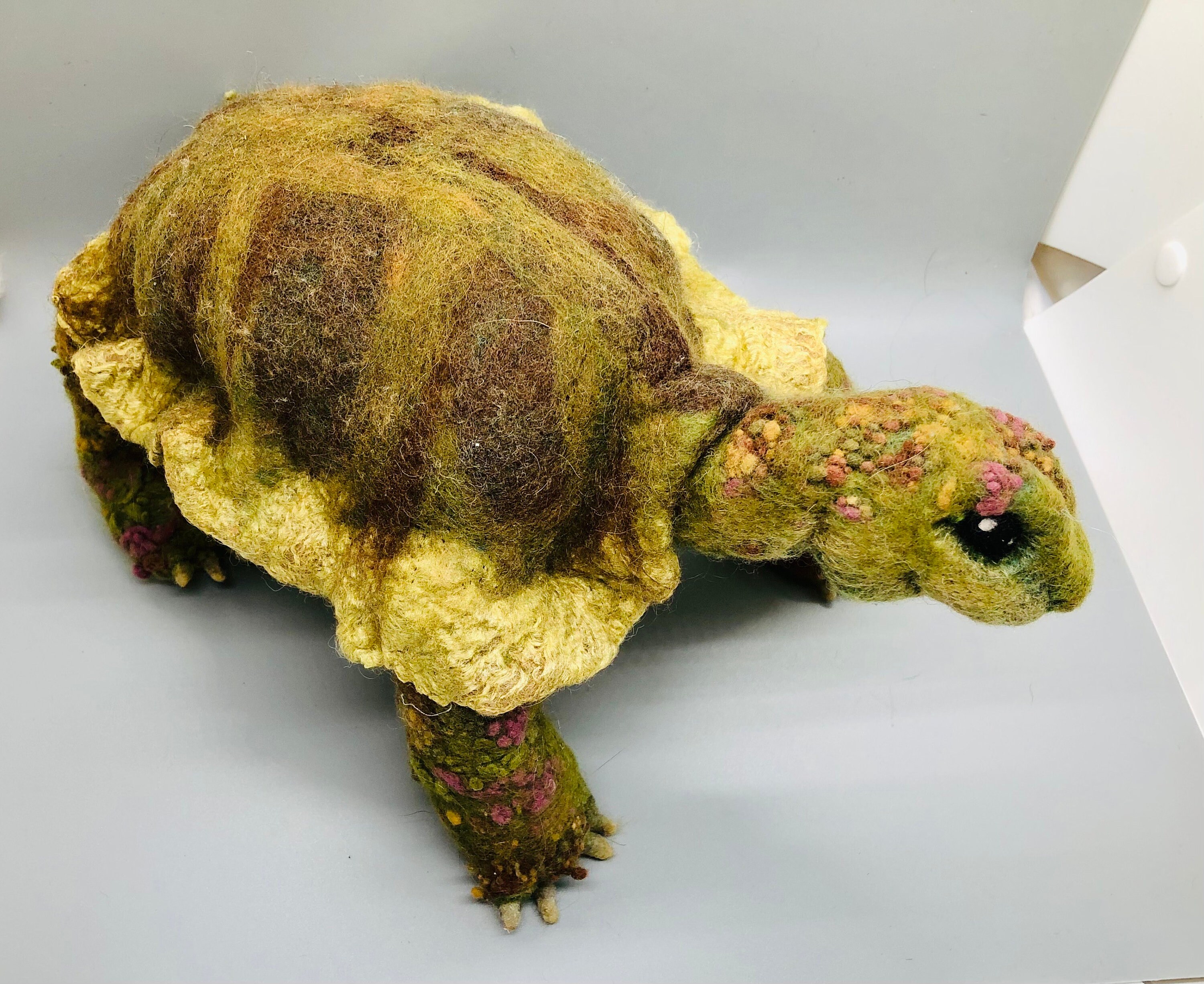 Needle Felted Tortoise, Made to Order one Available Immediately - Etsy