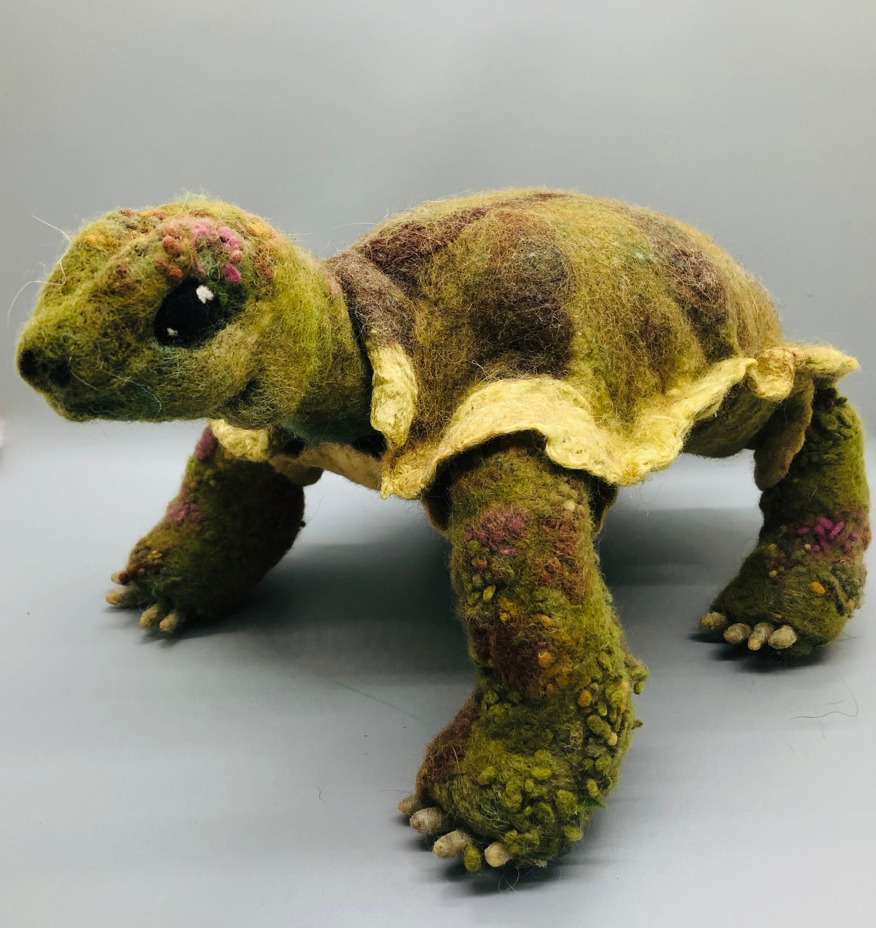 Needle Felted Tortoise, Made to Order (one Available Immediately) - Etsy