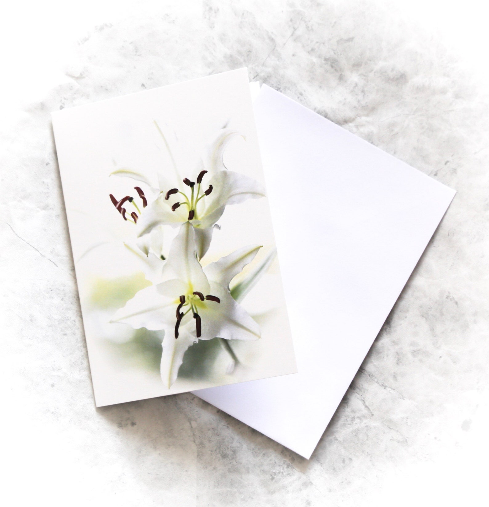 Easter Lily Card, Flower Photo Card, May Birthday Card, White Lily Card ...