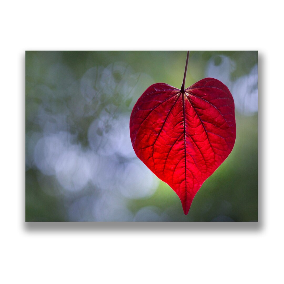 Heart Shaped Leaf Photo Card, Valentines Card, Wedding Card ...