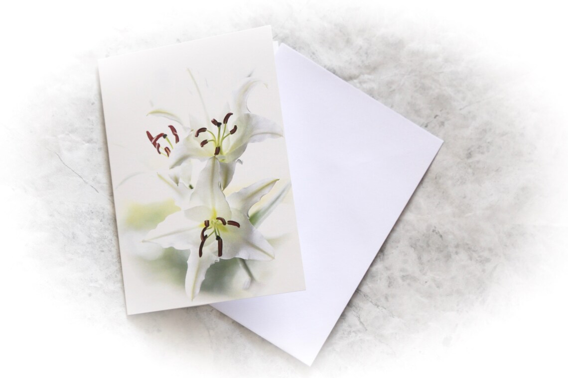 Easter Lily Card, Flower Photo Card, May Birthday Card, White Lily Card ...