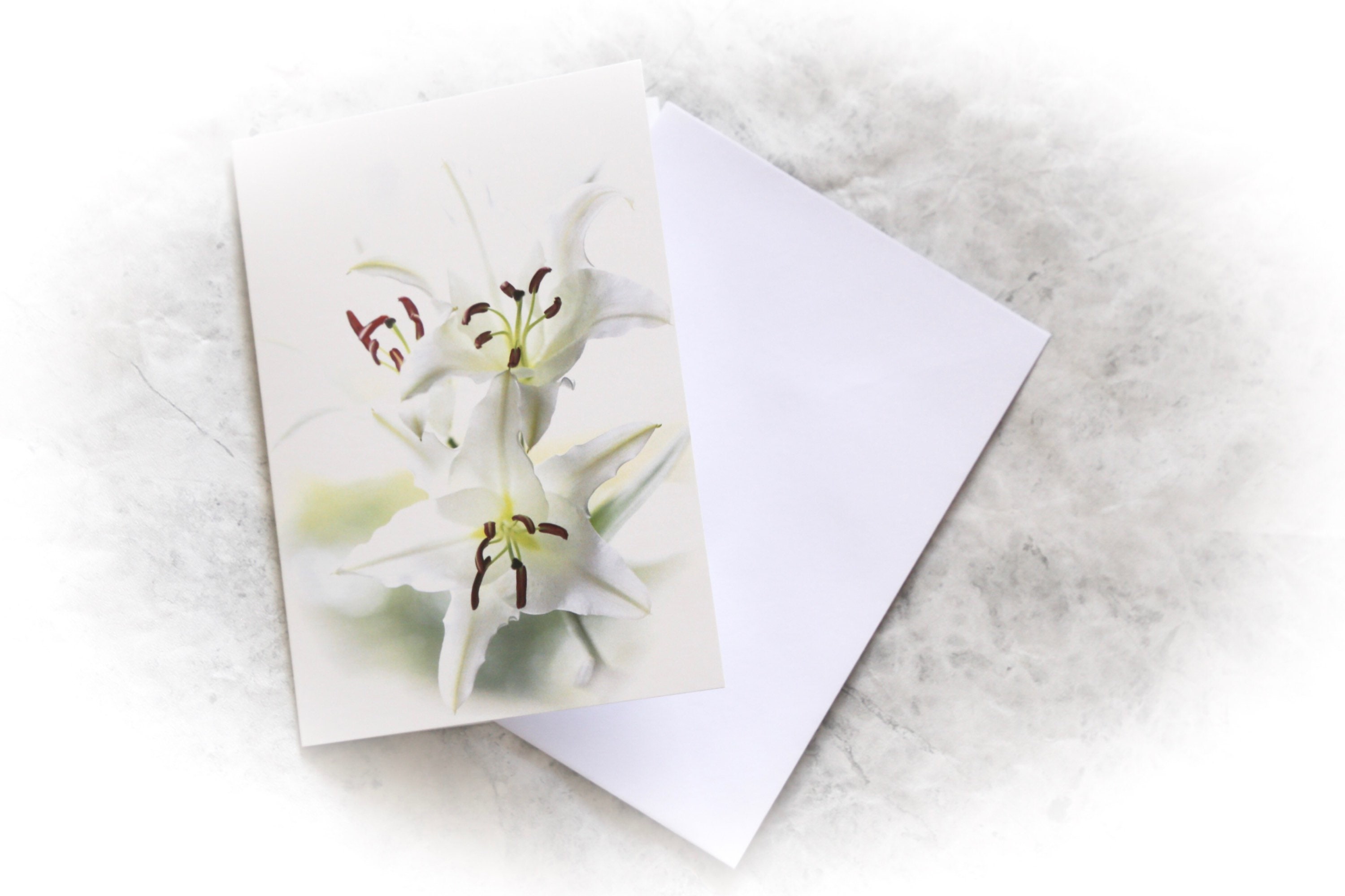 Easter Lily Card, Flower Photo Card, May Birthday Card, White Lily Card ...