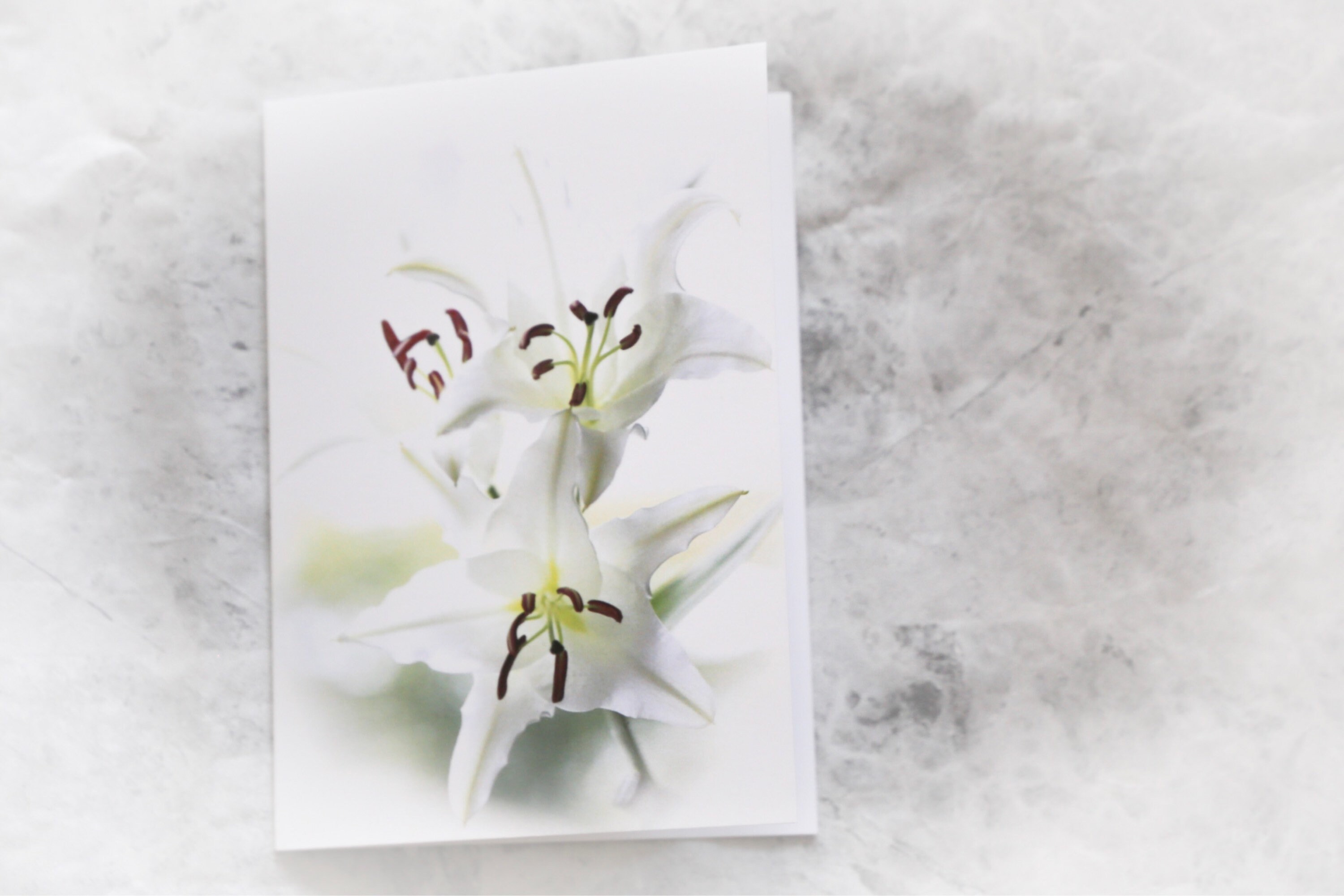 Easter Lily Card, Flower Photo Card, May Birthday Card, White Lily Card ...