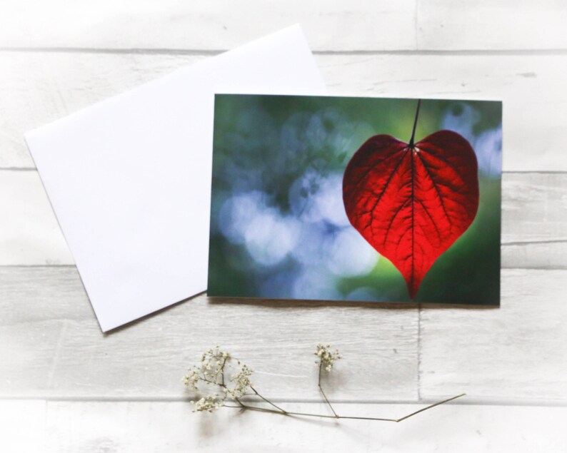 Heart Shaped Leaf Photo Card, Valentines Card, Wedding Card ...