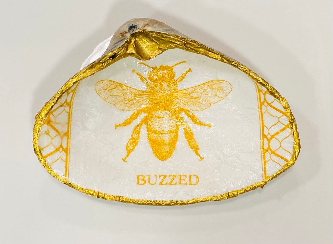 Bee Decoupaged on Sea Clam Shell Can Be Used as Trinket Dish or Jewelry ...