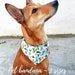 Live Animals Printable Stickers / Live Animals Stickers for Airline ...