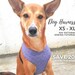 Dog Harness Sewing Patterns XS to XL / Adjustable Pet Harness DIY ...