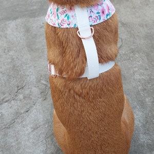 Dog Harness PDF Sewing Pattern - Small Size / Adjustable Fabric Harness ...