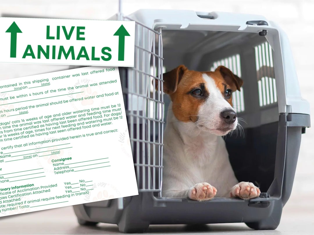 Live Animals Printable Stickers for Pet Travel | IATA Labels for ...