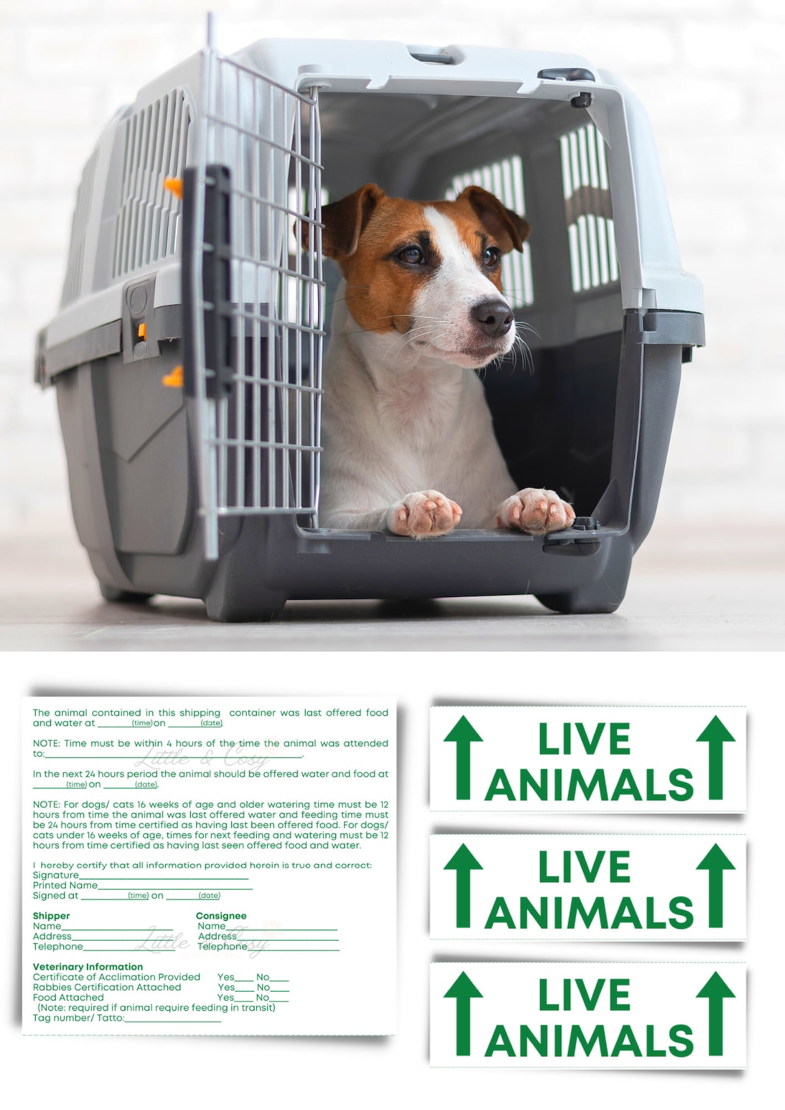 Live Animals Printable Stickers / Live Animals Stickers for - Etsy