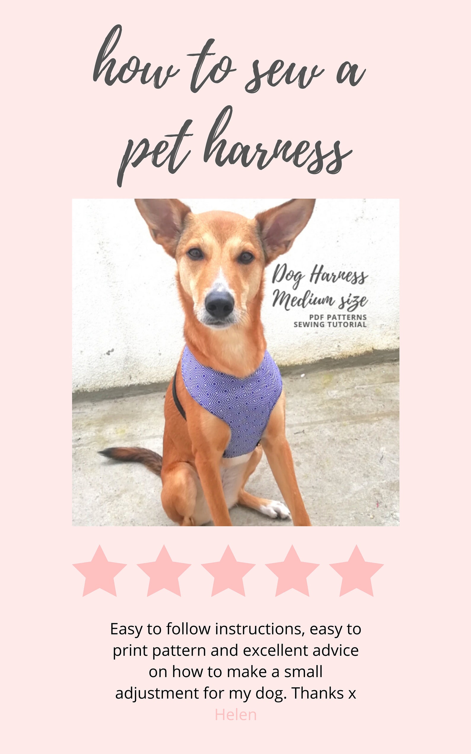 Dog harness pattern / PDF sewing pattern Extra Large size / | Etsy