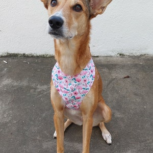 Dog Harness PDF Sewing Pattern - Small Size / Adjustable Fabric Harness ...
