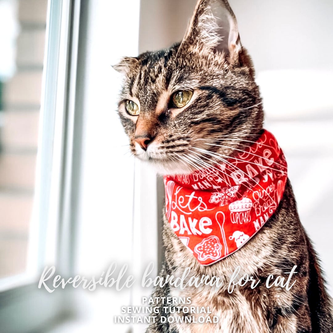 Cat Bandana Tutorial and Patterns / Cat and Kitty Accessories / Pet ...