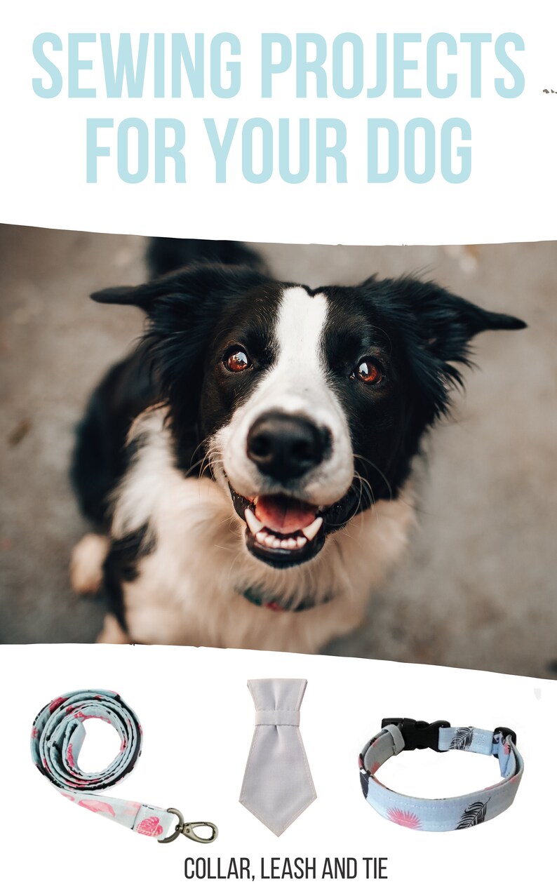 Standard Set of PDF Sewing Tutorials and Patterns for dog | Etsy