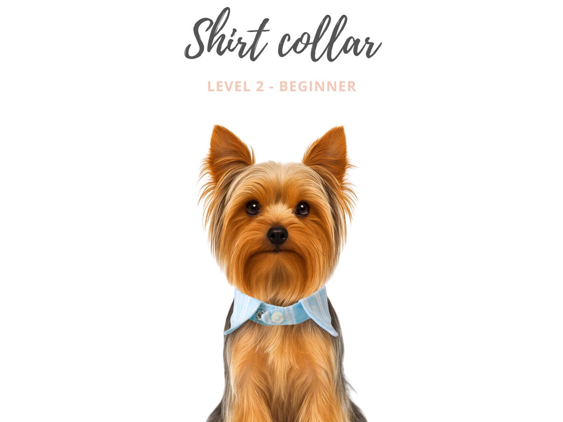 False Shirt Collar for Dog Tutorial and Sewing Patterns | Dog Neck ...
