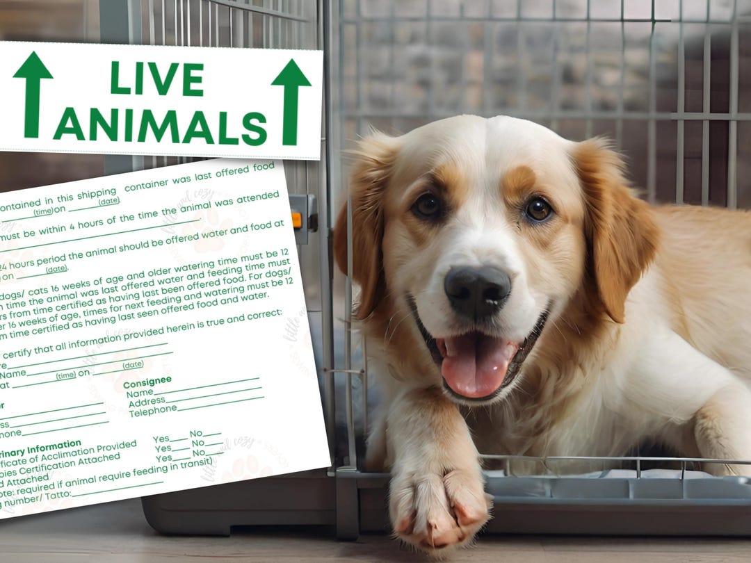 Live Animals Printable Stickers / Live Animals Stickers for Airline ...