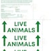 Live Animals Printable Stickers / Live Animals Stickers for Airline ...