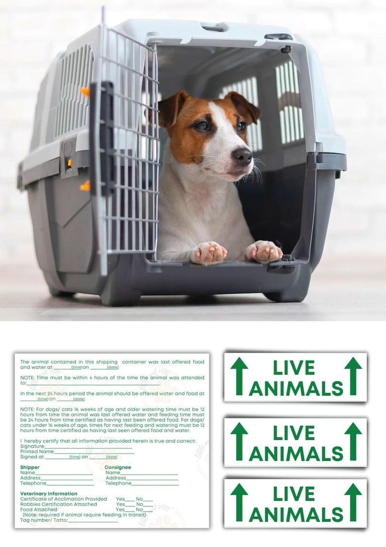 IATA Pet Stickers / IATA Required Pet Stickers / Airline Cargo Crate ...