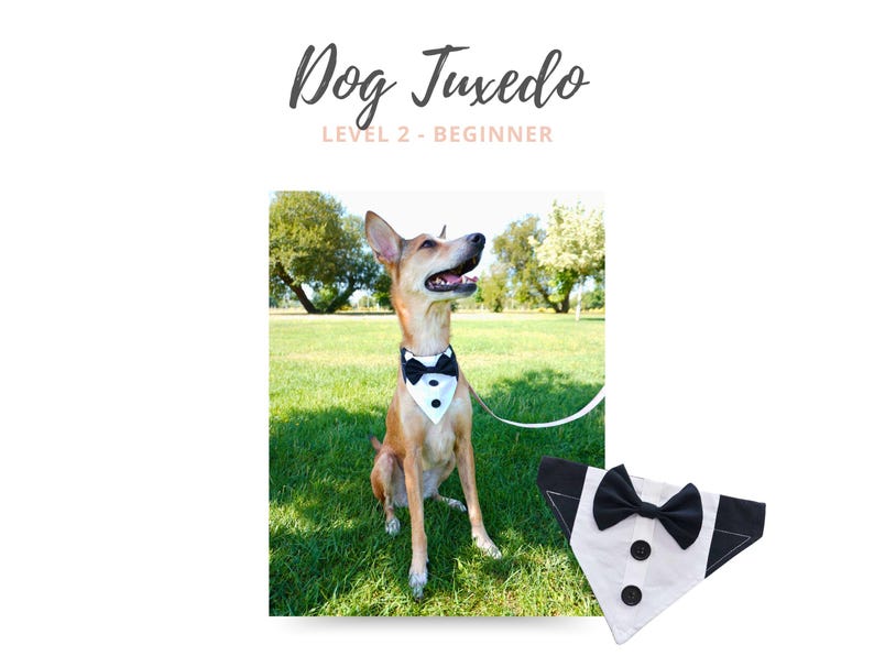 Dog Tuxedo PDF Pattern | Dog Tux Bandana DIY | Dog Wedding Outfit | Dog ...