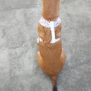 Dog Harness PDF Sewing Pattern - Small Size / Adjustable Fabric Harness ...