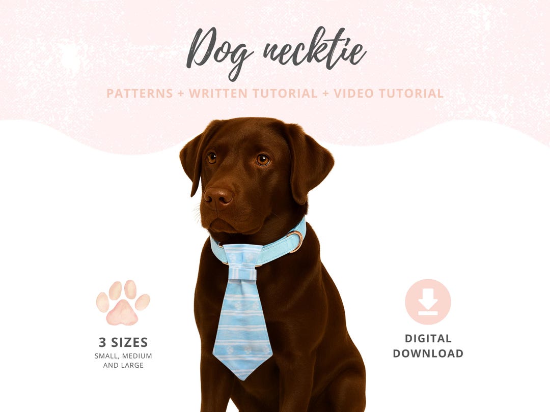 Pet Necktie Tutorial and Patterns | Dog Neck Tie for Wedding | Small ...