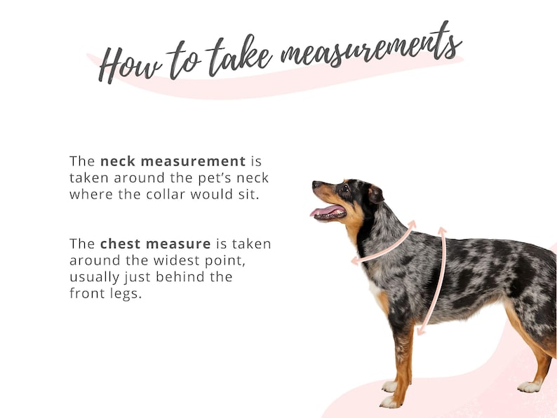 Dog Harness Sewing Patterns XS to XL | Adjustable Pet Harness DIY ...