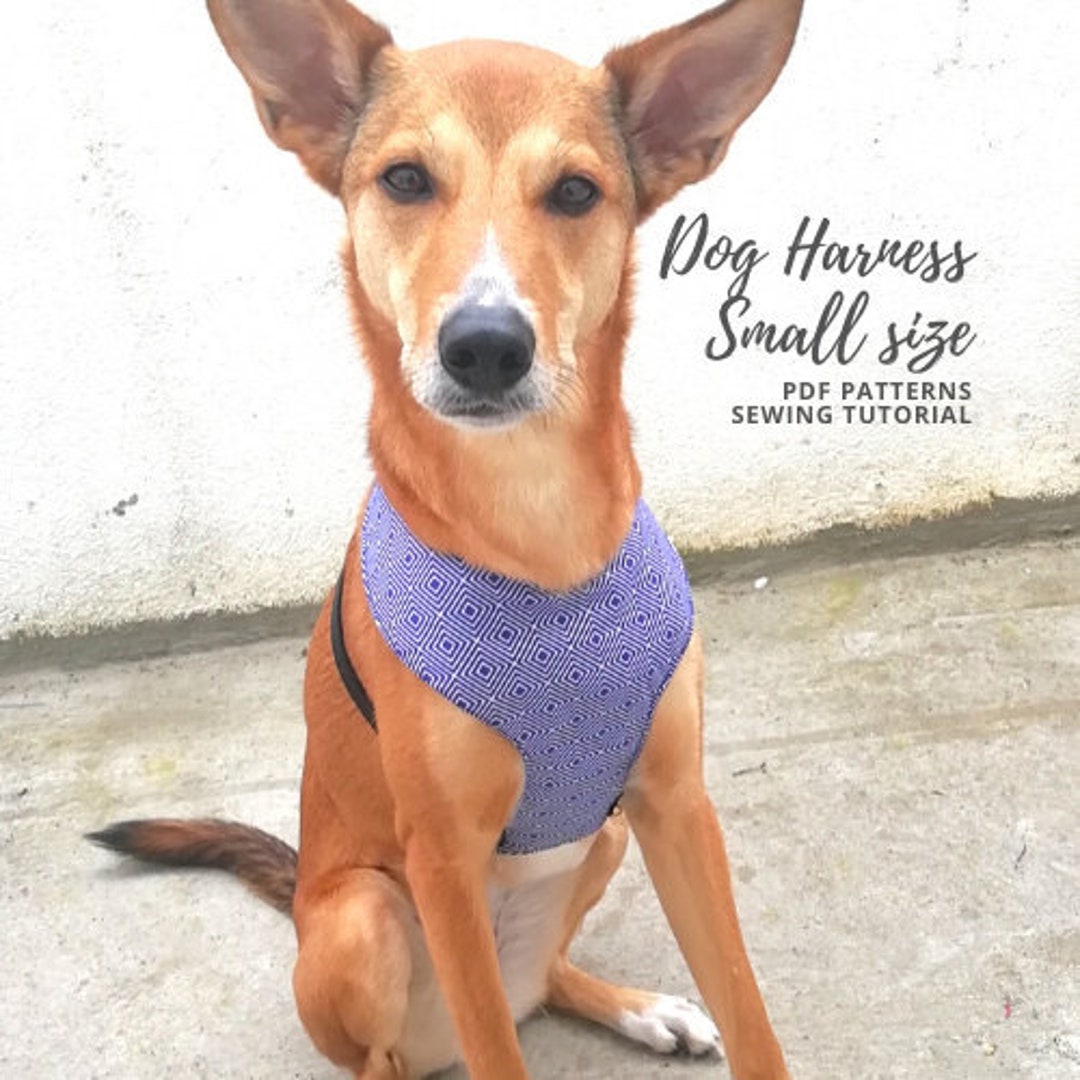 Dog Harness PDF Sewing Pattern - Small Size / Adjustable Fabric Harness ...