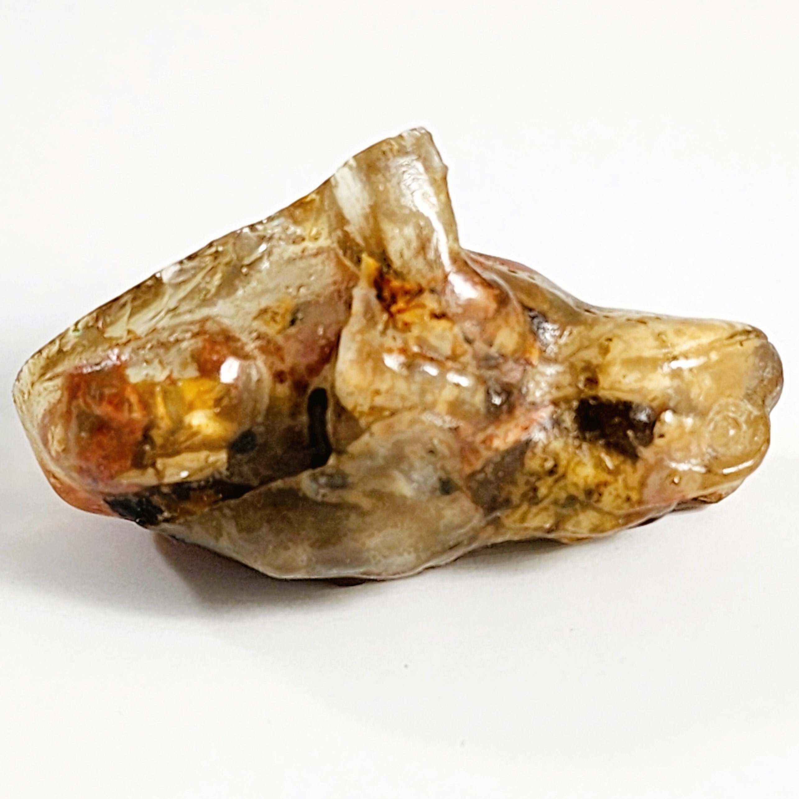 Miniature Frog Figurine Filled With Shell Pieces, Florida Souvenir ...
