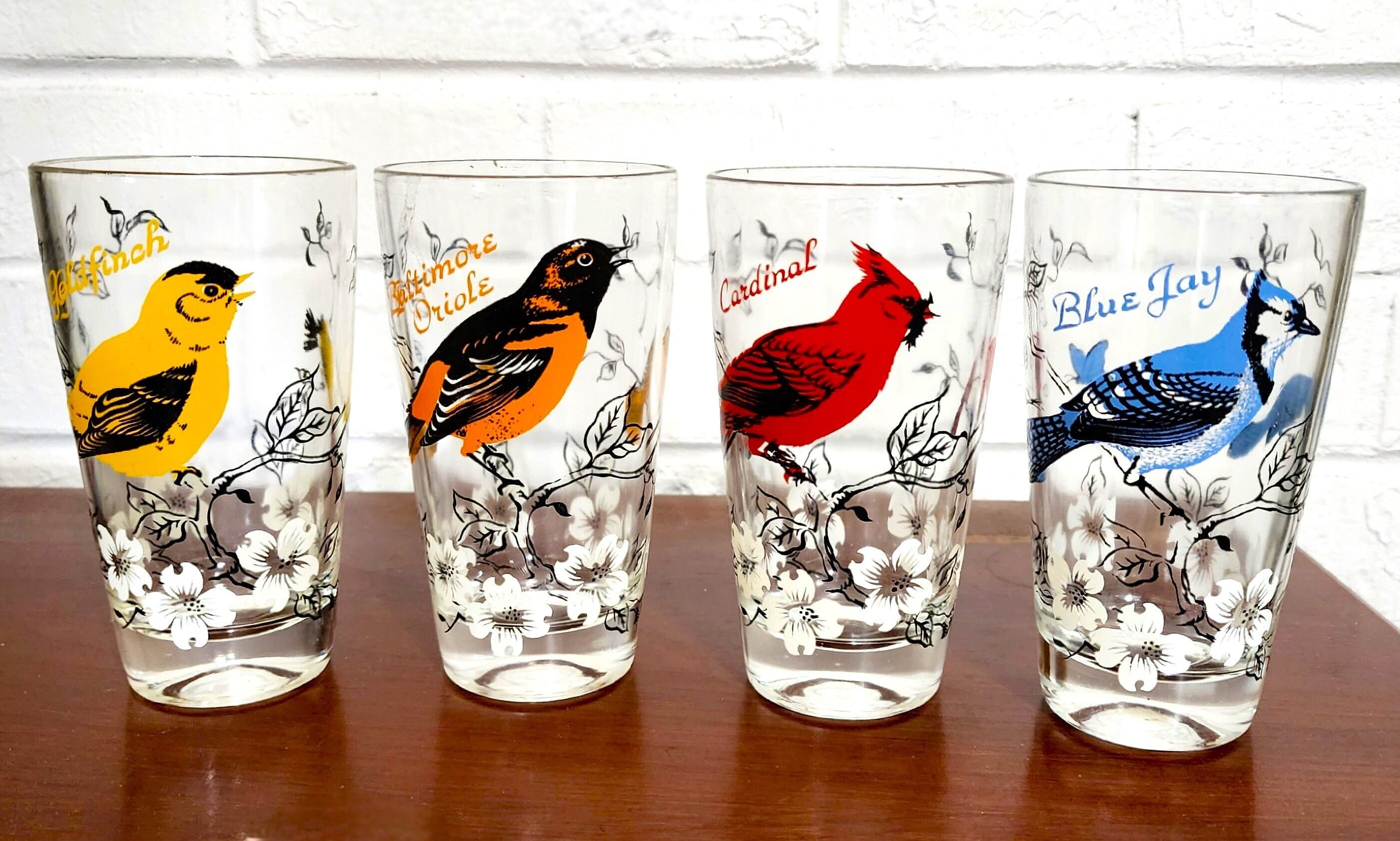 Blue Jay And Cardinal And Oriole