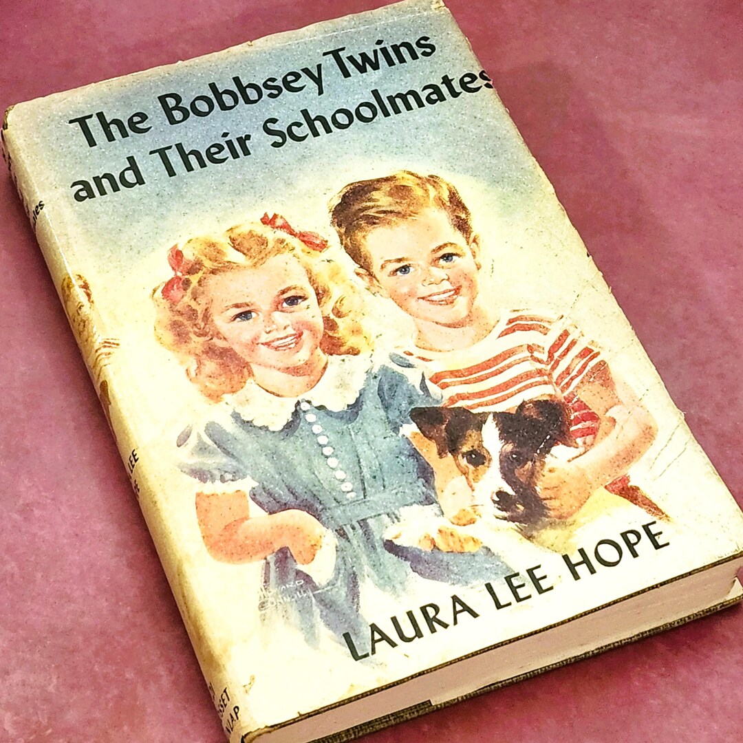 The Bobbsey Twins Book and Their Schoolmates Laura Lee Hope Volume 21 ...