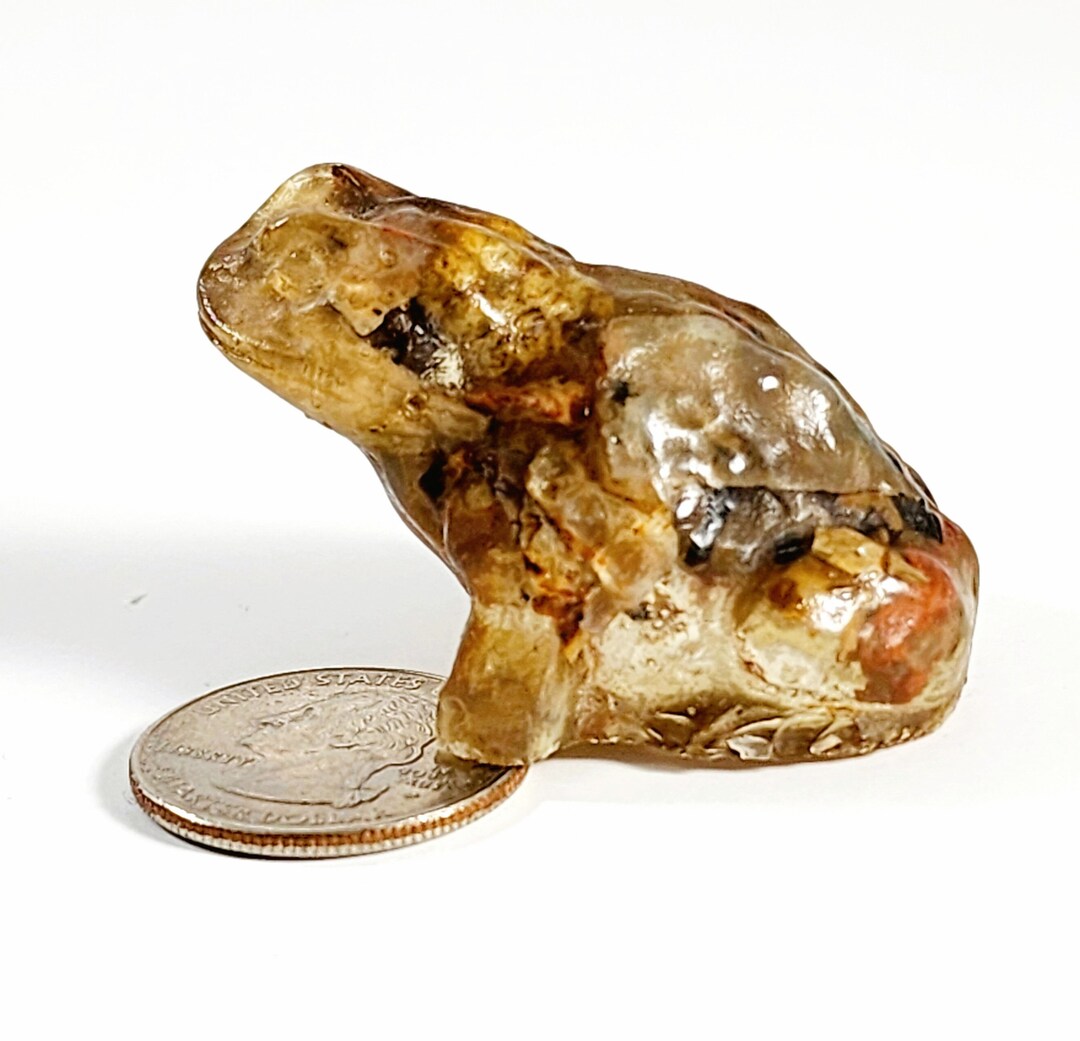 Miniature Lucite Acrylic Frog Figurine Filled With Shell - Etsy