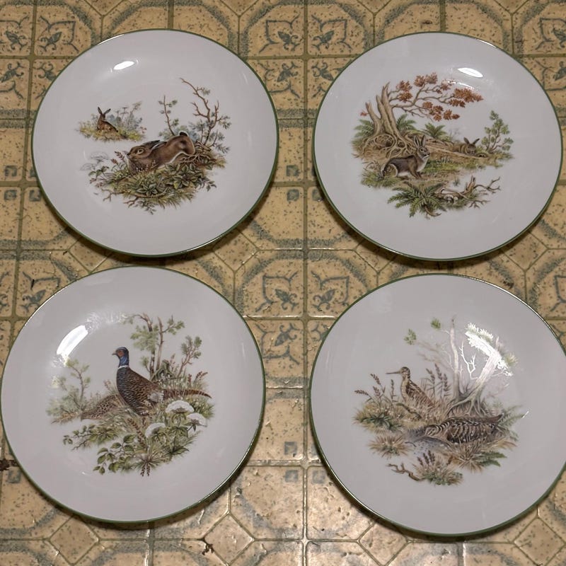 Animal Vintage Plates - Etsy