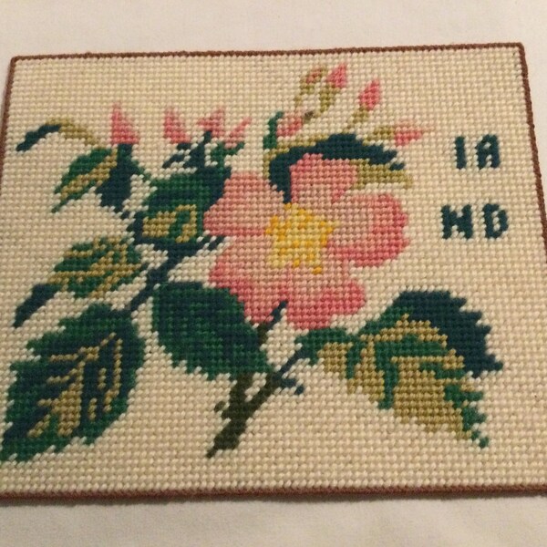 Wild Prairie Rose - Etsy