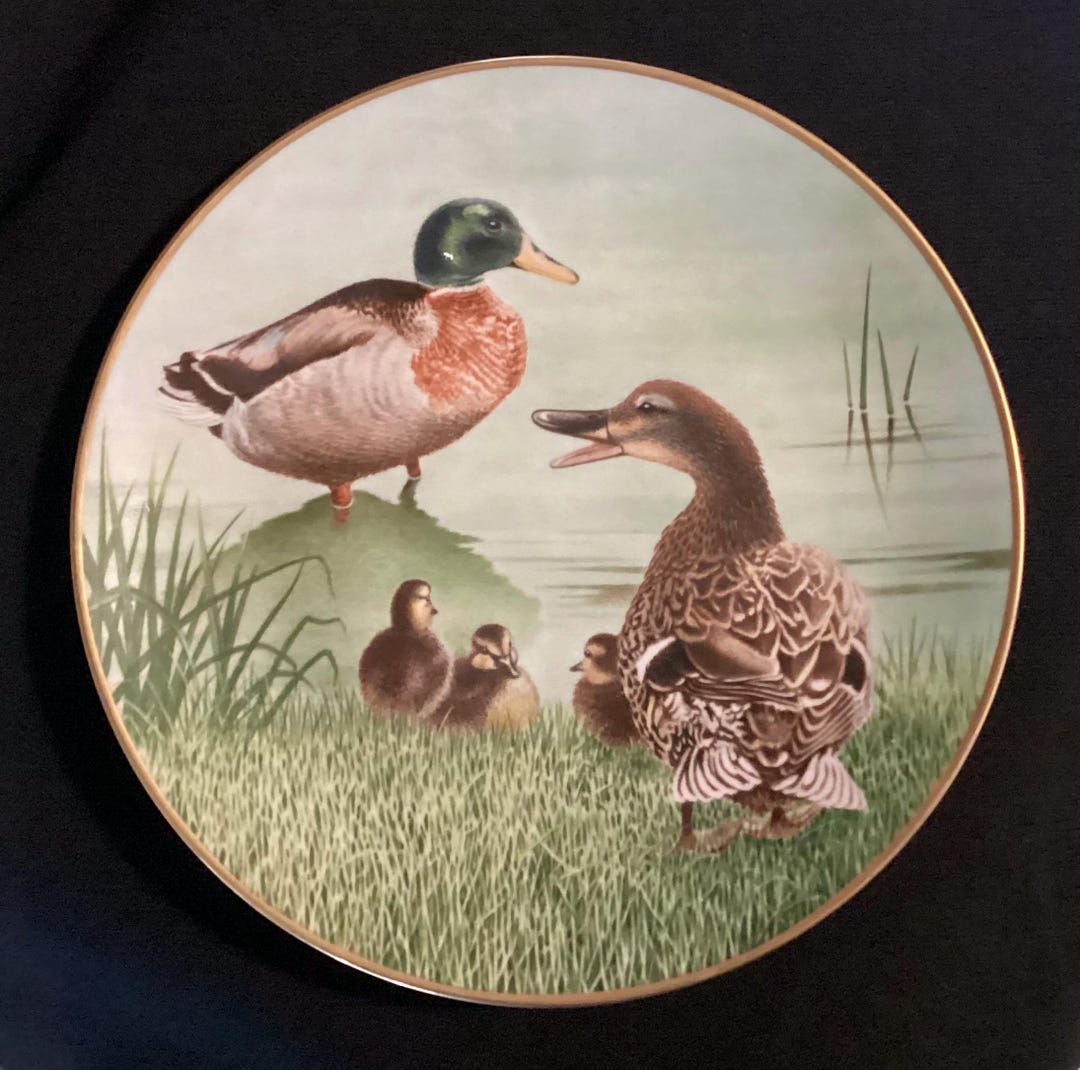 Vintage Danbury Mint the 12 Waterbird Plates Series Mallard Ducks Plate ...