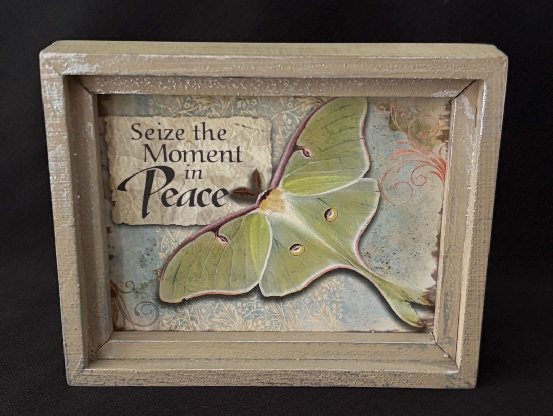 Vintage Small Framed Luna Moth Sentiment Print “sieze the Moment in ...
