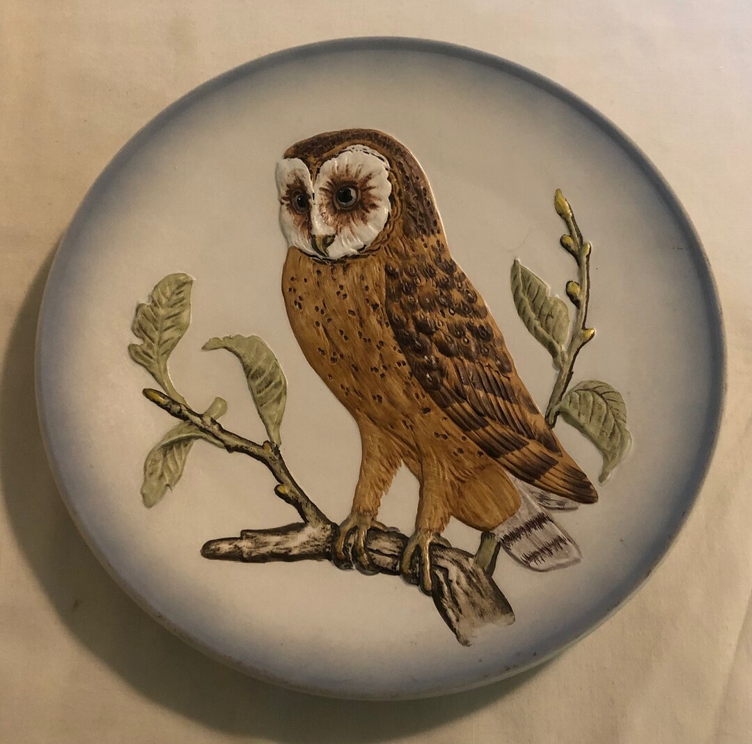 1976 Goebel Barn Owl Wildlife Plate - Etsy